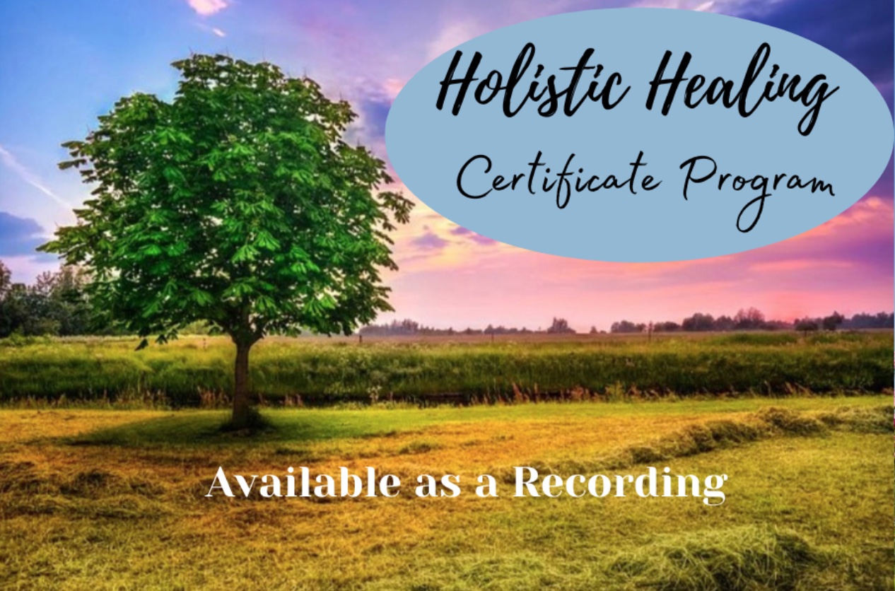 Learn Holistic OT Skills - Emmy Vadnais